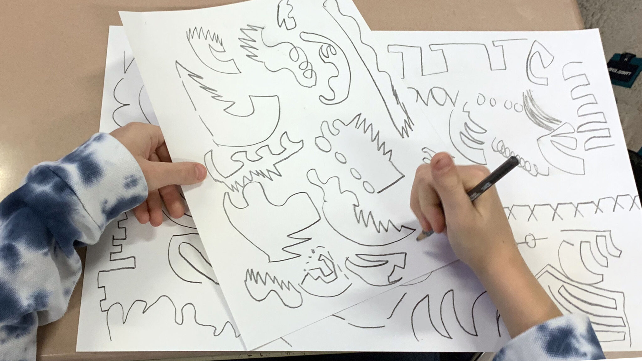 Case Study: Drawing Imaginary Plants - Studio in a School