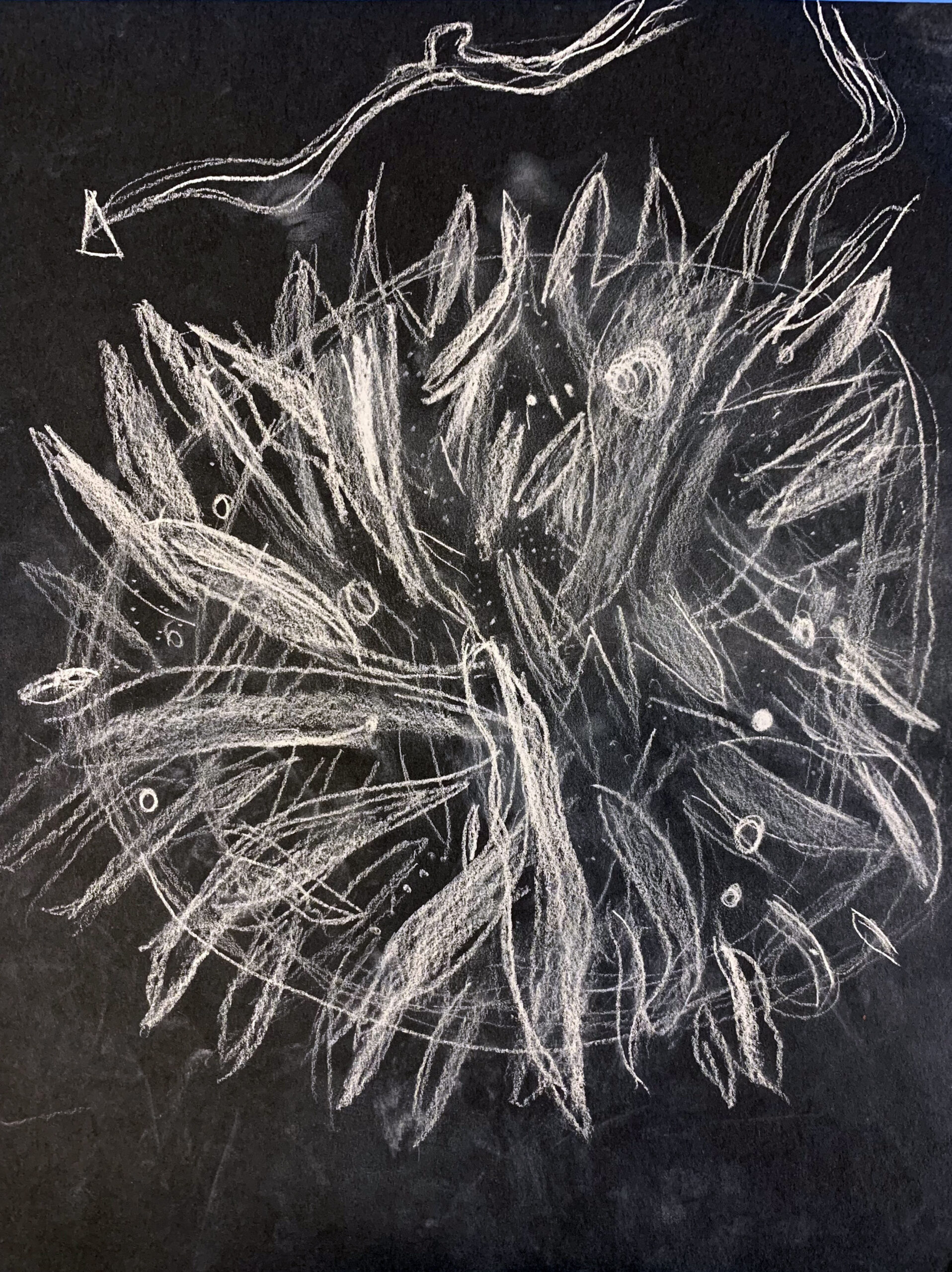 Case Study: Drawing Imaginary Plants - Studio in a School