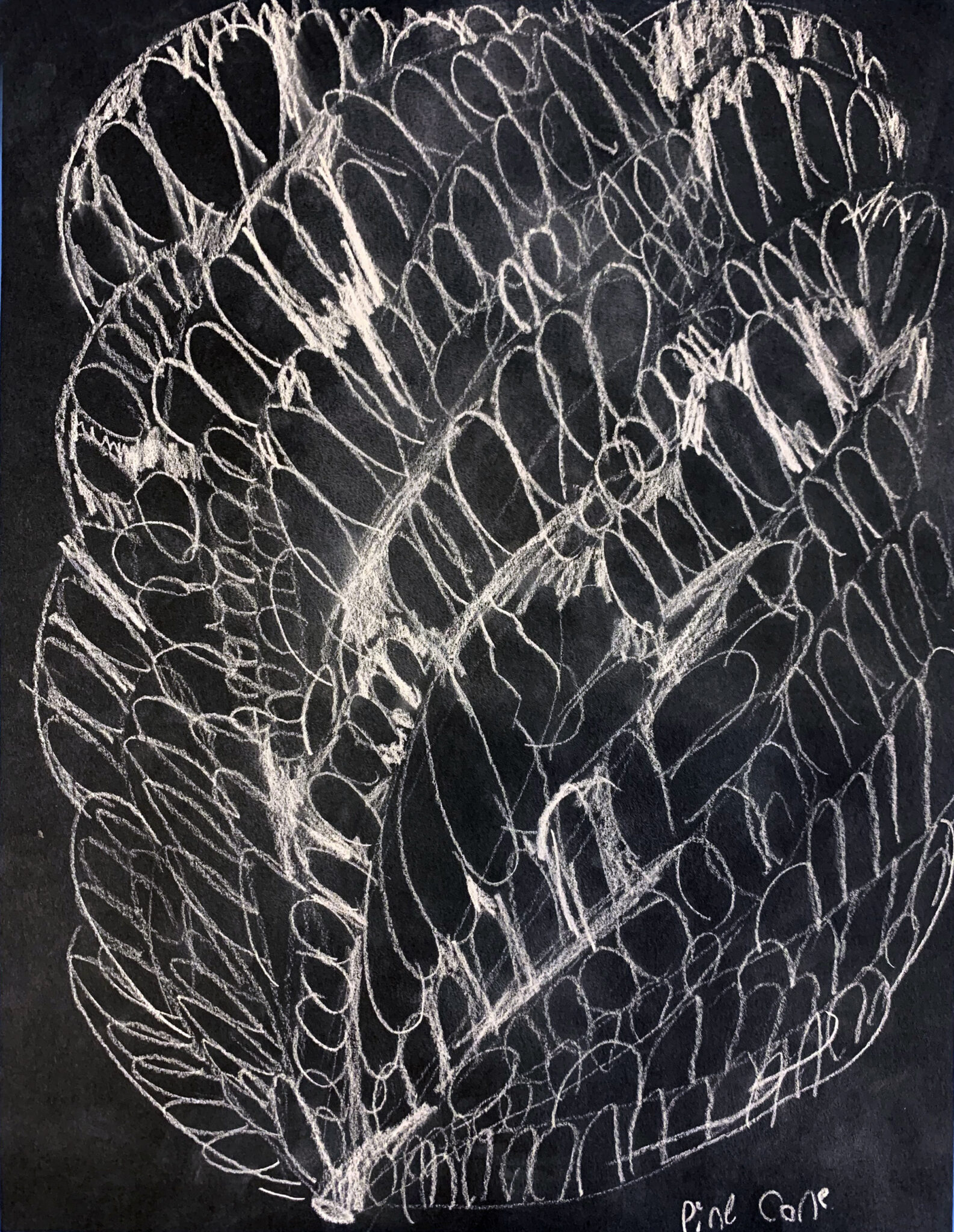 Lesson 3: Drawing from Observation - Studio in a School