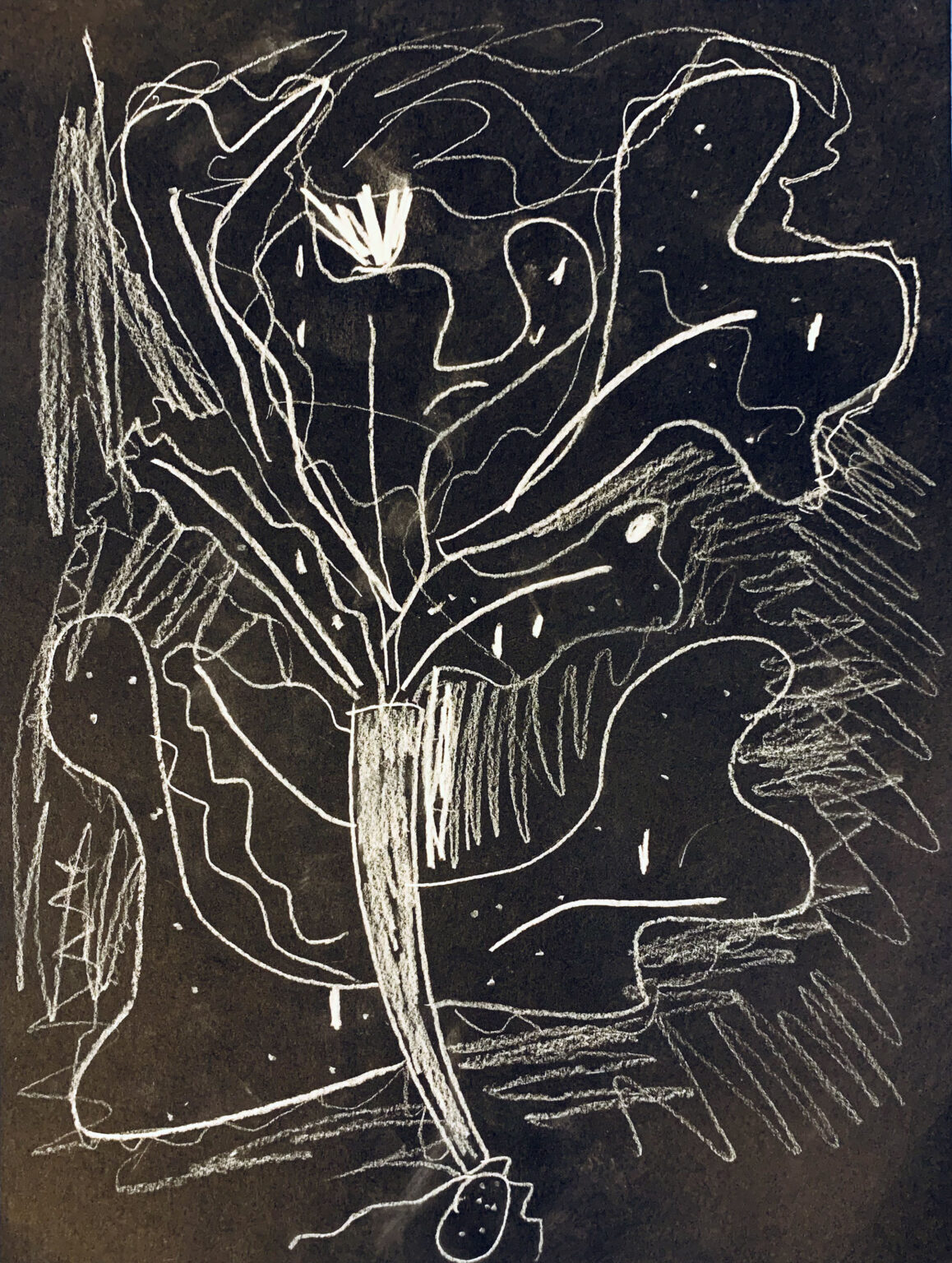Case Study: Drawing Imaginary Plants - Studio in a School
