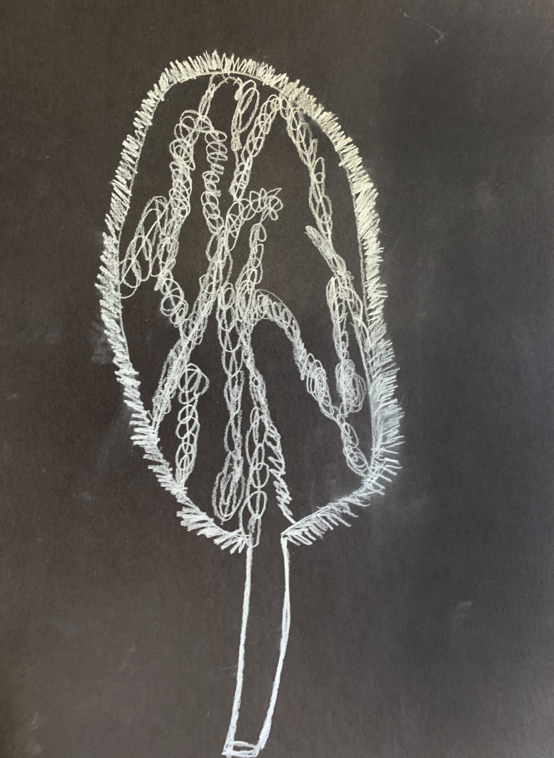 Case Study: Drawing Imaginary Plants - Studio in a School