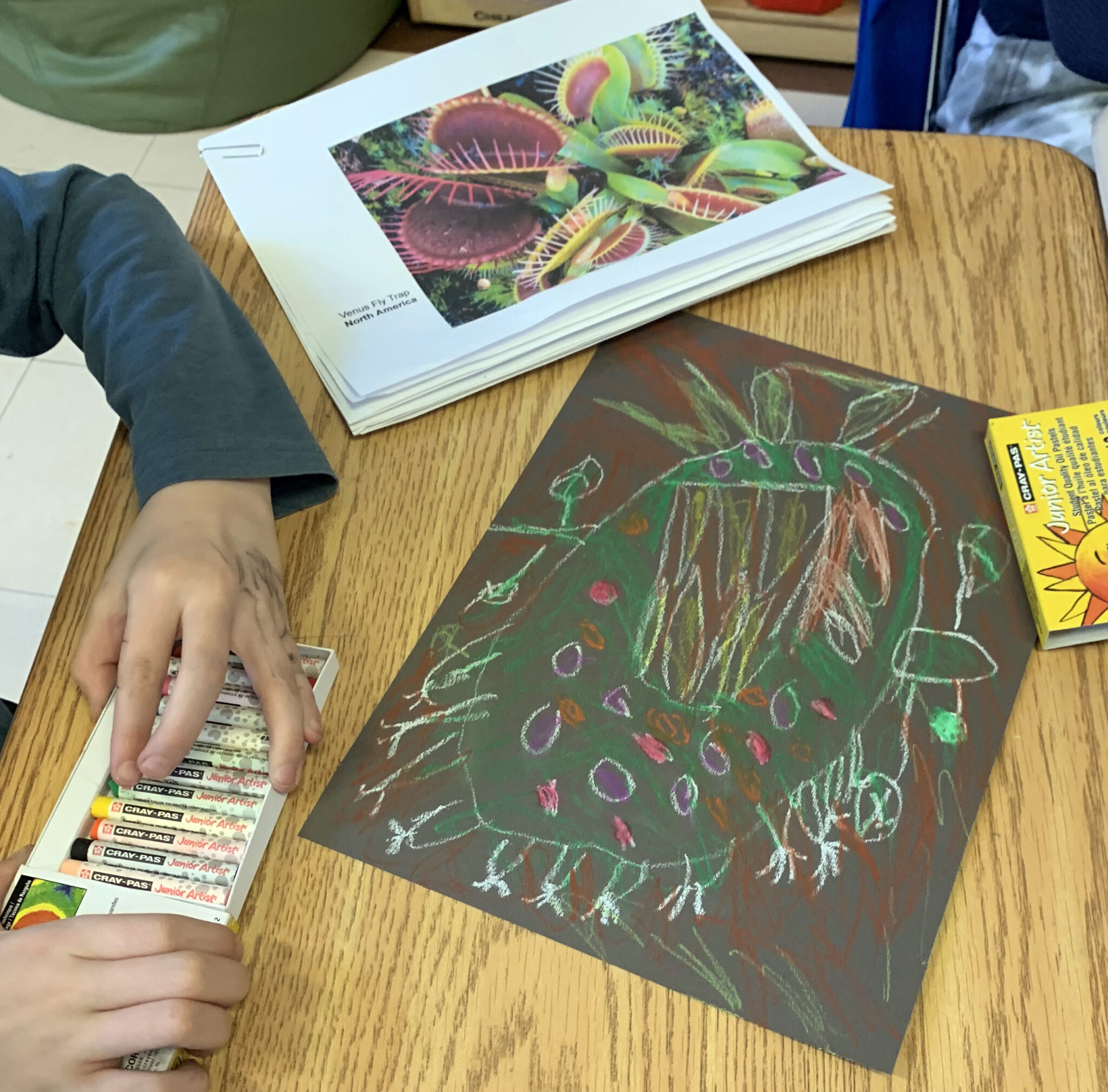 Case Study: Drawing Imaginary Plants - Studio in a School