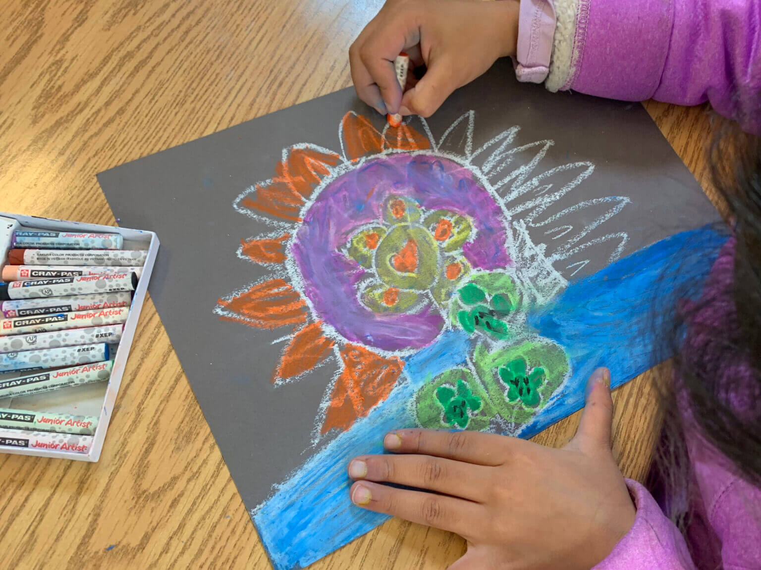 Lesson 4: Drawing Plants from Around the World (Oil Pastel Unit ...