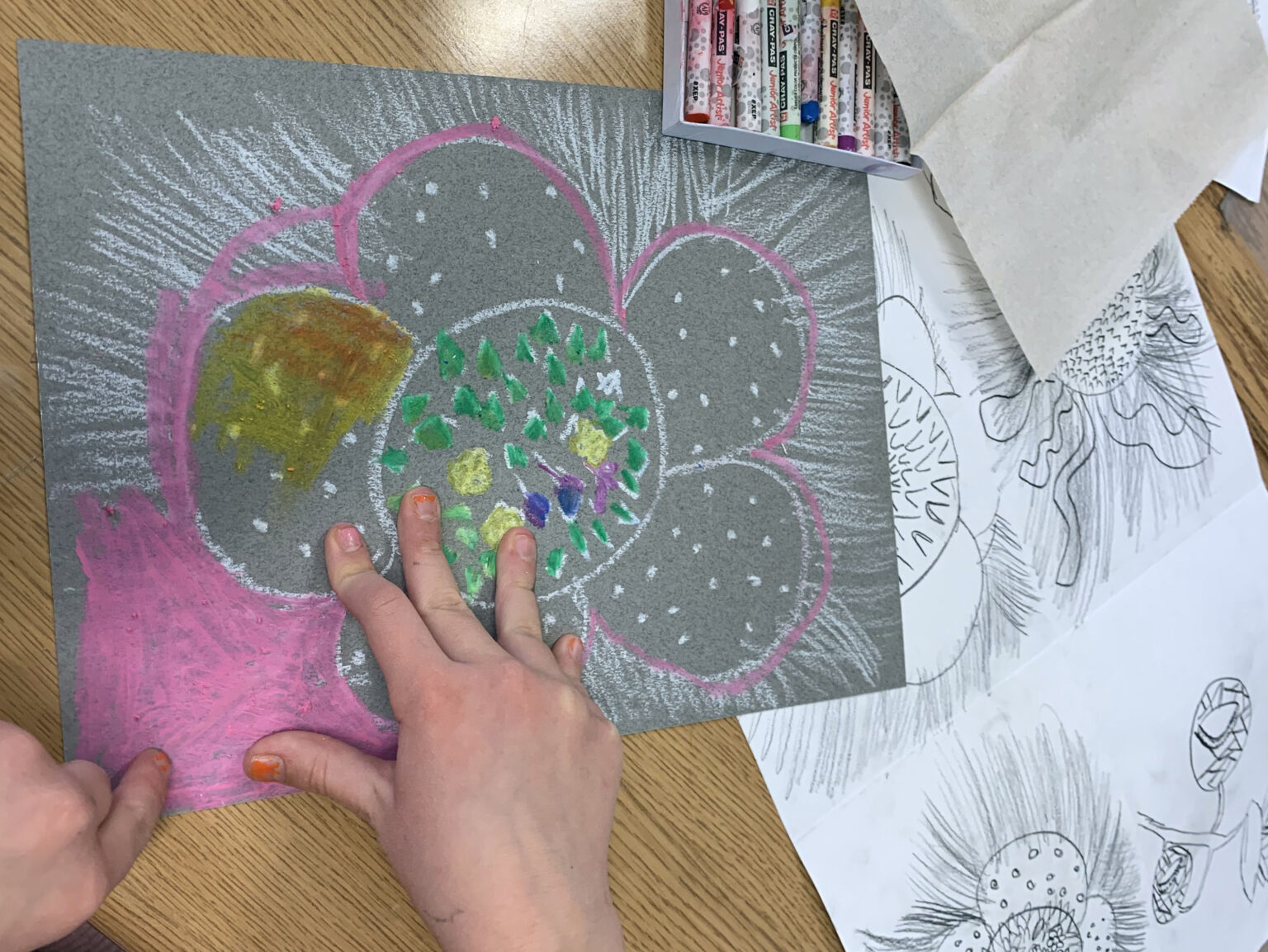 Case Study: Drawing Imaginary Plants - Studio in a School