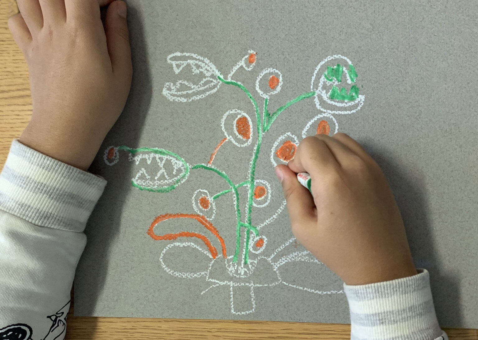 Case Study: Drawing Imaginary Plants - Studio in a School
