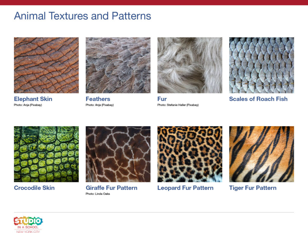 Lesson 5: Exploring Texture - Studio in a School