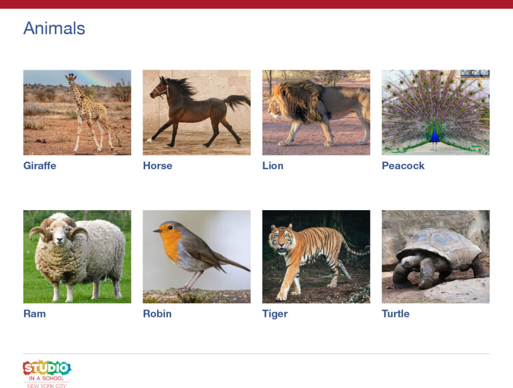 Lesson 7: Real Animal Collage - Studio in a School