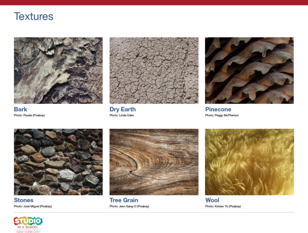 Lesson 5: Exploring Texture - Studio in a School