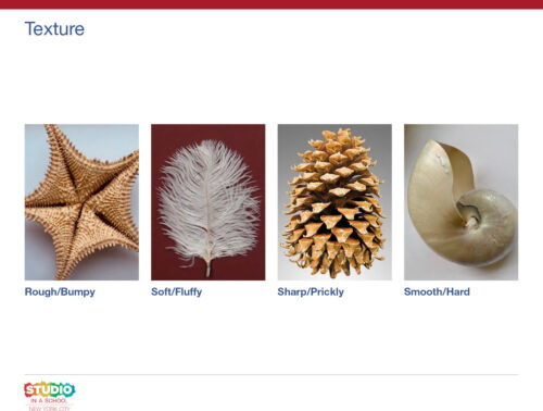 Lesson 5: Exploring Texture - Studio in a School