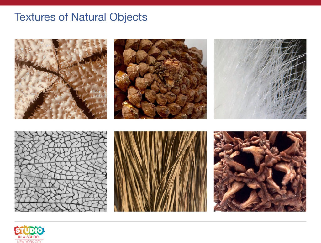 Lesson 3: Creating Marks and Visual Texture - Studio in a School