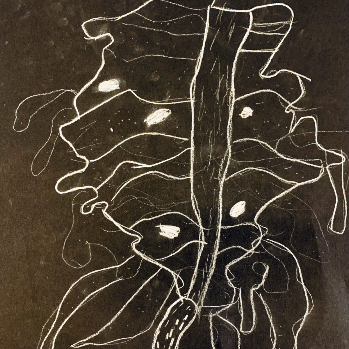 Lesson 3: Drawing from Observation - Studio in a School
