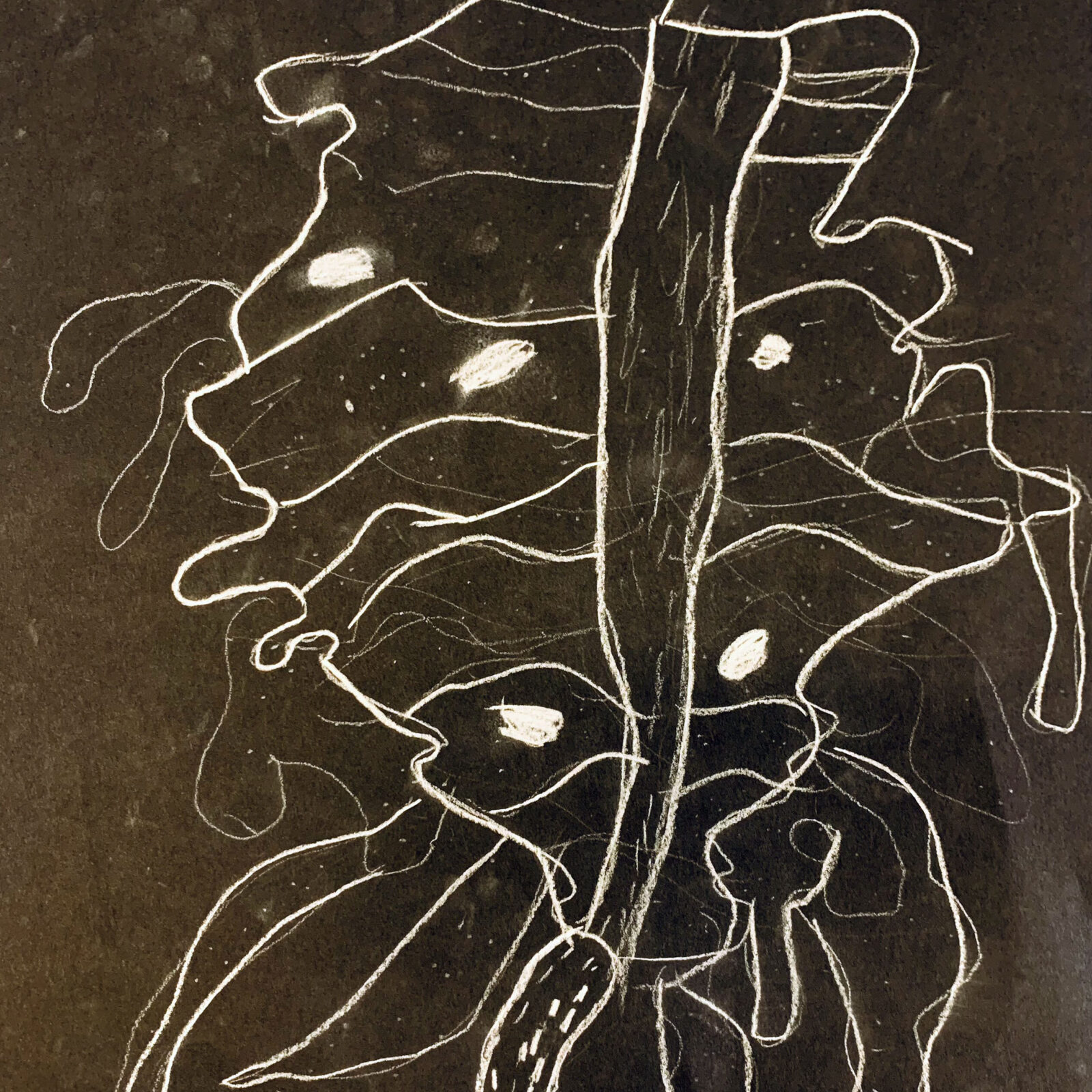 Lesson 3: Drawing from Observation - Studio in a School
