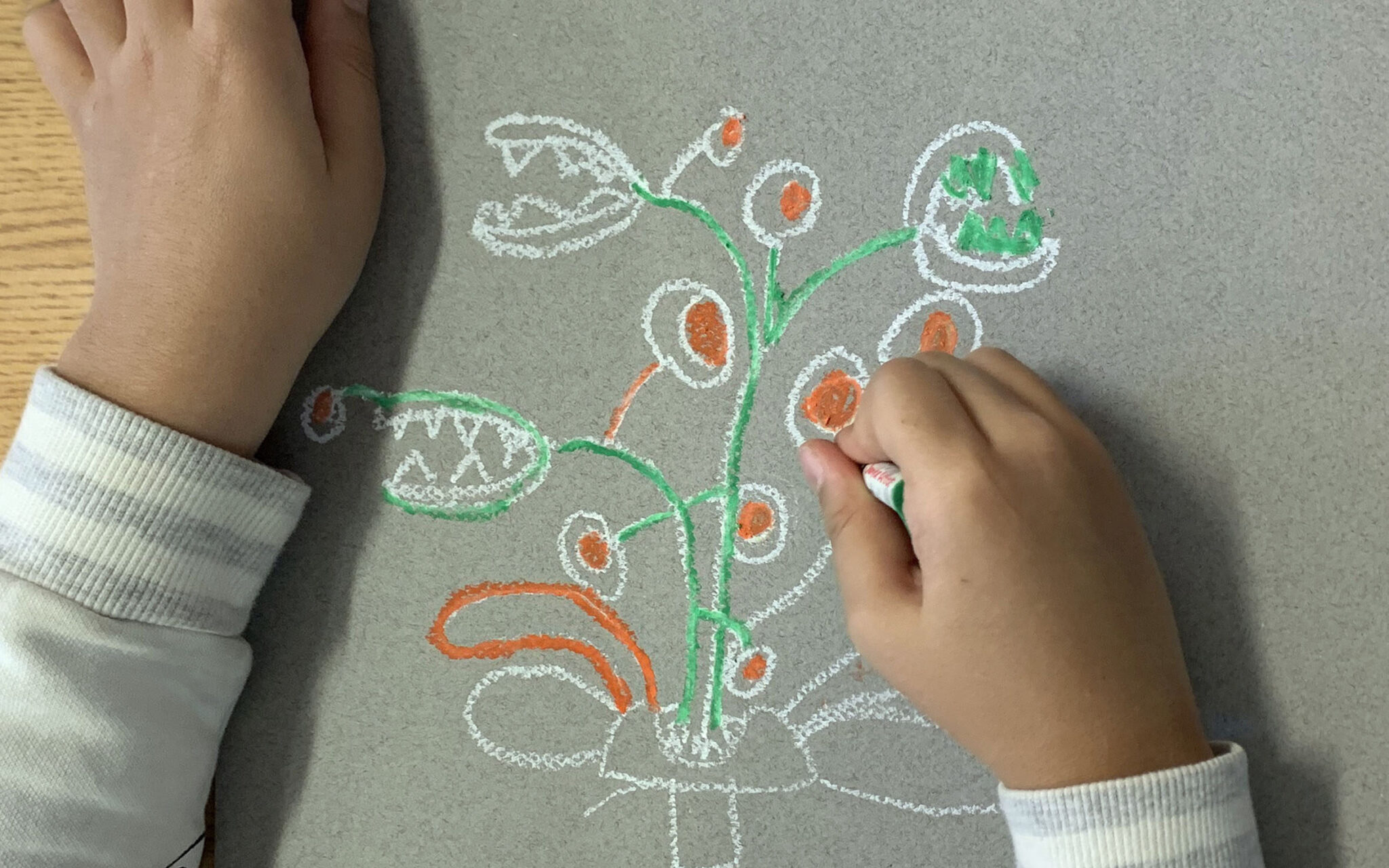 Lesson 5: Inventing an Imaginary Plant - Studio in a School