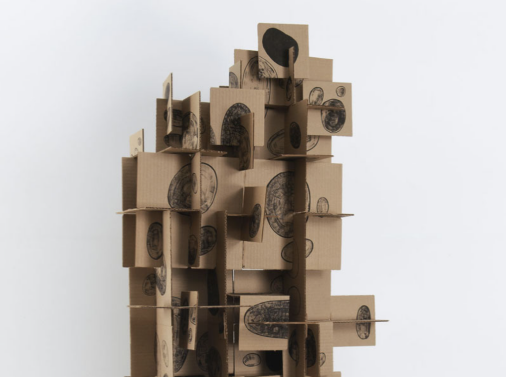 Lesson 5: Exploring and Changing Cardboard - Studio in a School