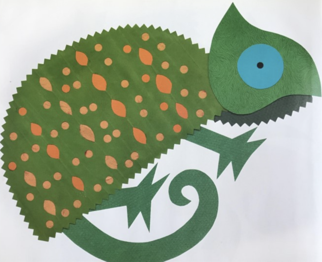 Lesson 7: Real Animal Collage - Studio in a School