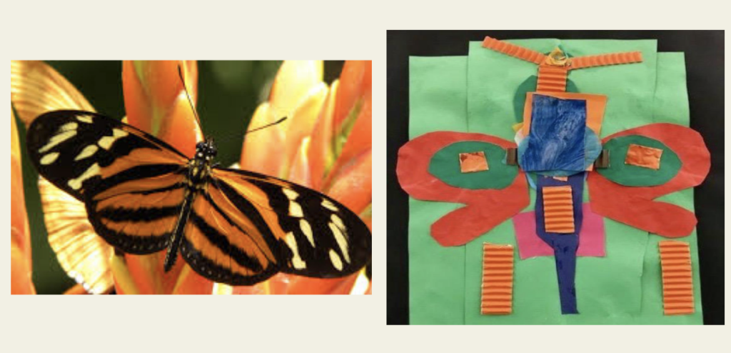 Lesson 7: Real Animal Collage - Studio in a School