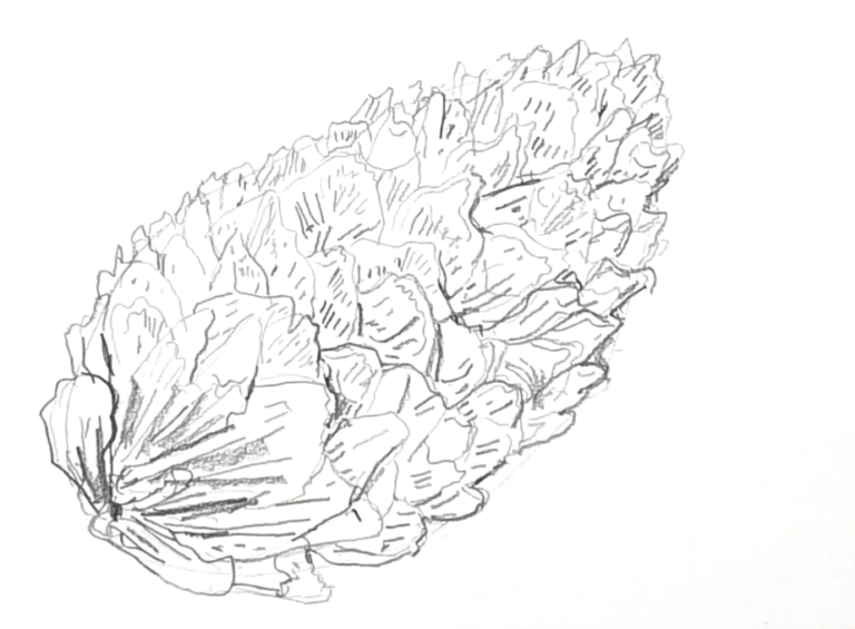 Lesson 5: Drawing from Observation - Studio in a School