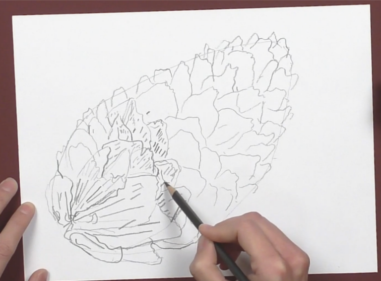 Lesson 5: Drawing from Observation - Studio in a School