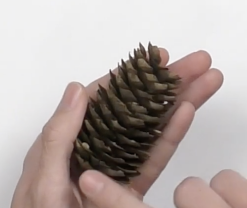 Lesson 5: Drawing from Observation - Studio in a School