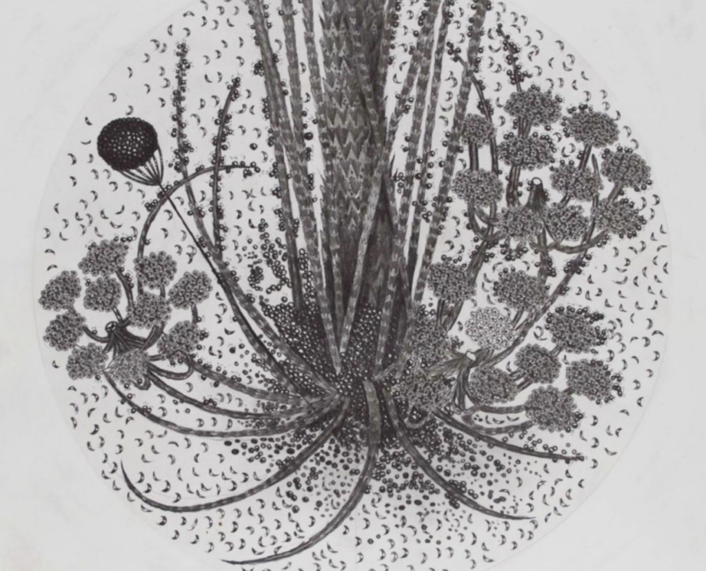 Lesson 5: Drawing from Observation - Studio in a School
