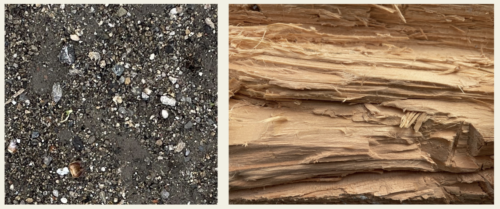 Lesson 5: Exploring Texture - Studio in a School