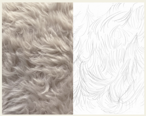 Lesson 5: Exploring Texture - Studio in a School