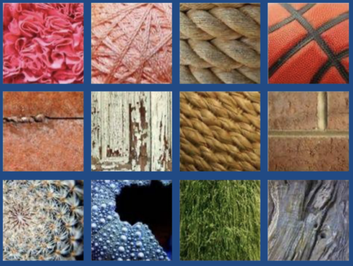 Lesson 5: Exploring Texture - Studio in a School