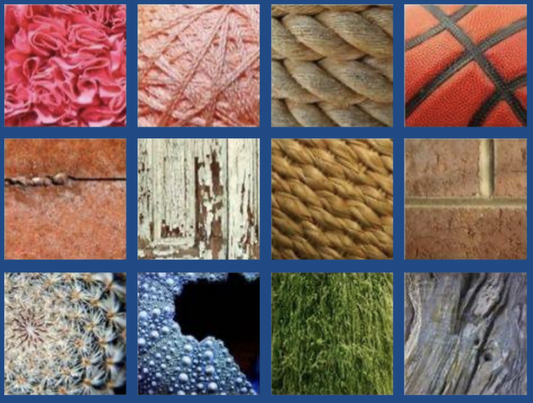 Lesson 5: Exploring Texture - Studio in a School