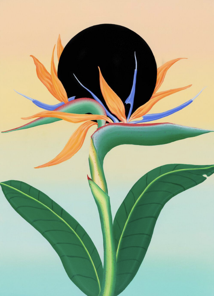 Lesson 10: Drawing Imaginary Plants Reflection - Studio in a School