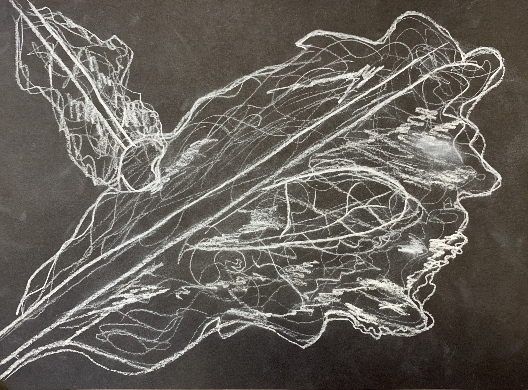 Lesson 3: Drawing from Observation (Oil Pastel Unit) - Studio in a School