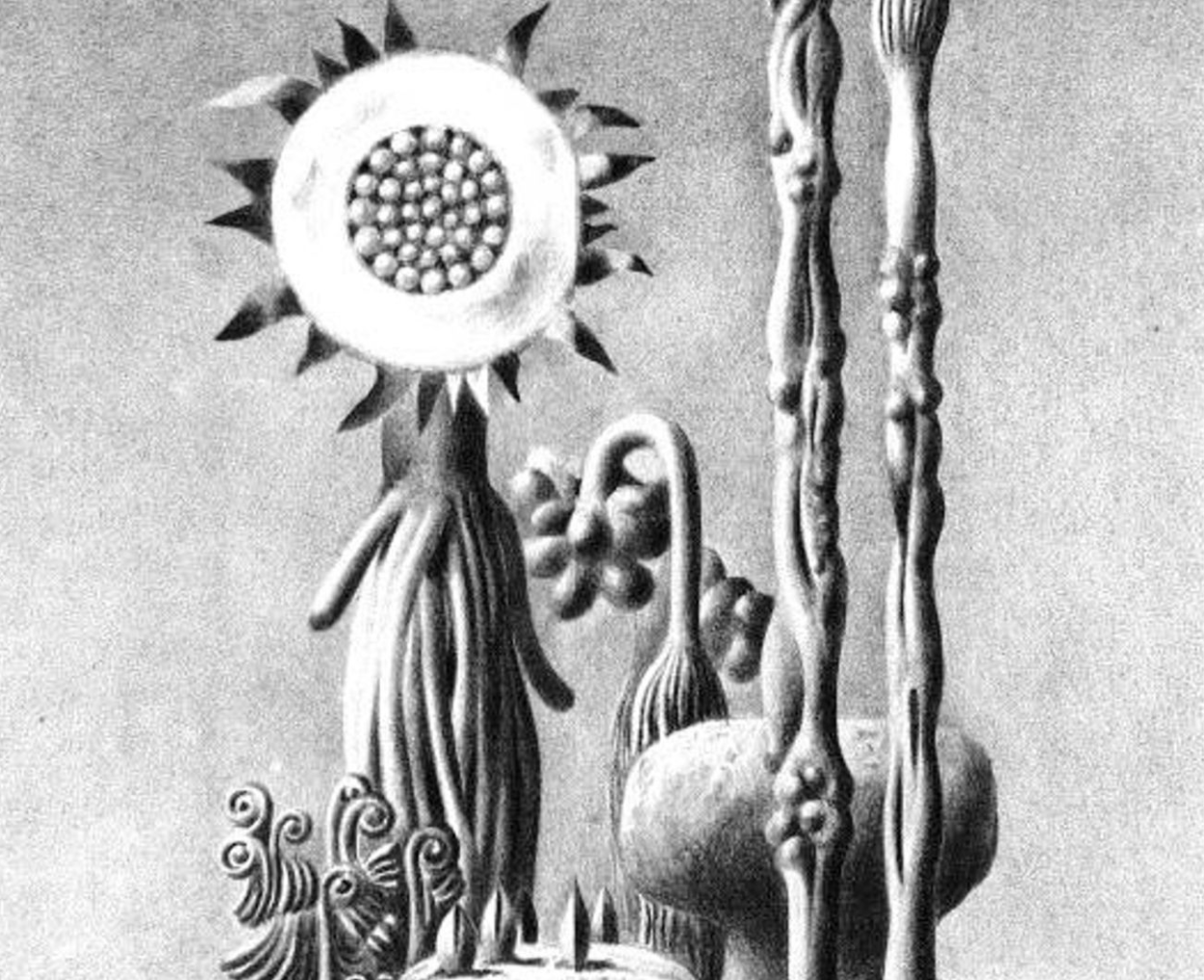 Lesson 10: Drawing Imaginary Plants Reflection - Studio in a School