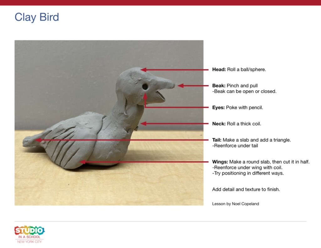 Clay Bird Diagram - Studio in a School