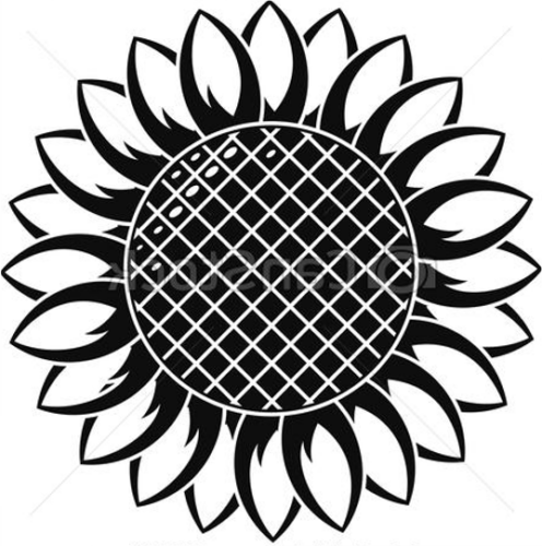 The Shape of Feelings - Studio in a School