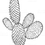 Capturing Weather: Drawing Nature - Studio in a School