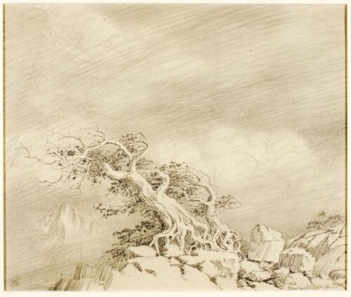 Capturing Weather: Drawing Nature - Studio in a School