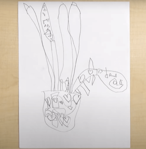 Drawing Plants - Studio in a School