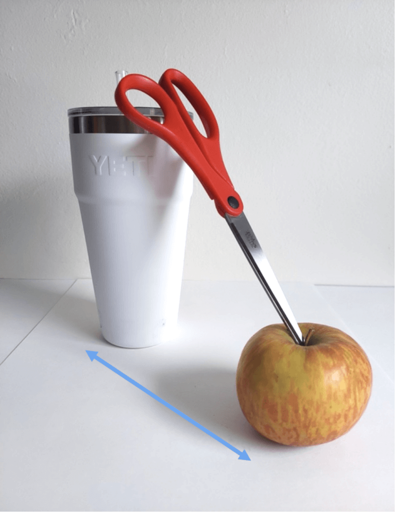 Lesson 1: Exploring Composition - Studio in a School