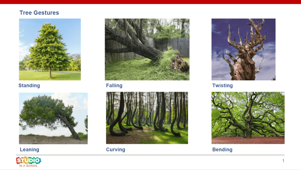 Tree Gestures - Studio in a School